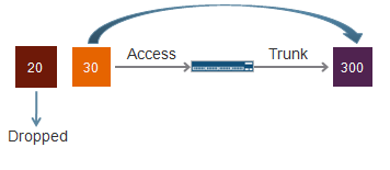 [EX] VLAN Translation