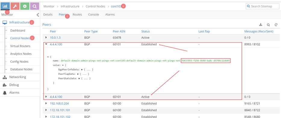 [Contrail] How to configure redundant BGPaaS sessions with AAP